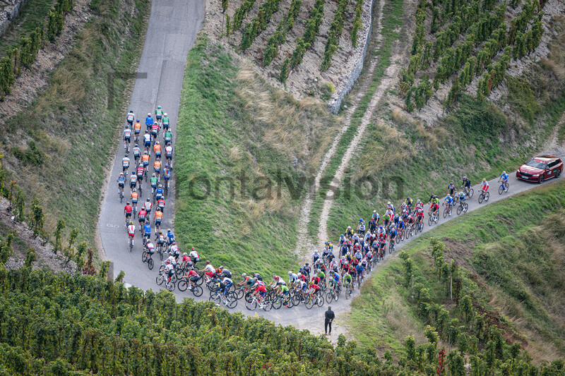 Peloton: UEC Road Cycling European Championships - Ardeche... Photo
