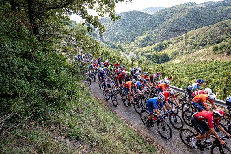 Peloton: UEC Road Cycling European Championships - Ardeche... Photo